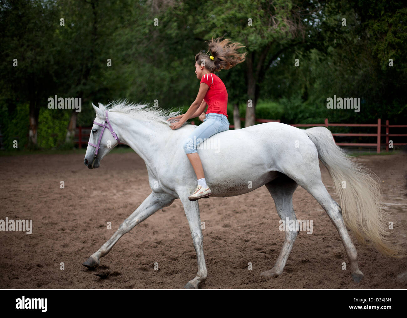 Horseback riding saddle hi-res stock photography and images - Alamy