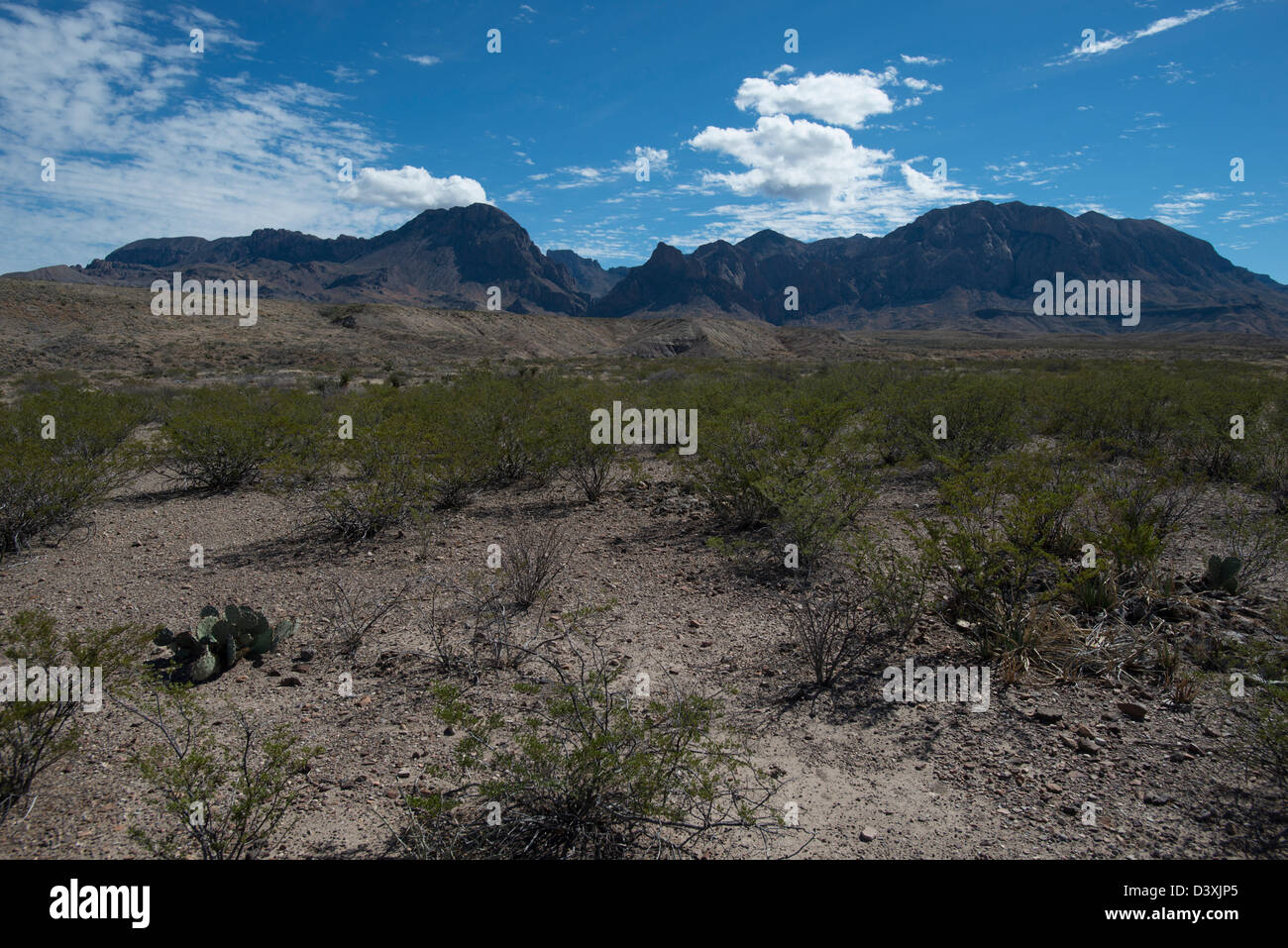 The Window, Chisos Basin, Big Bend National Park, Texas, USA, Volcano ...