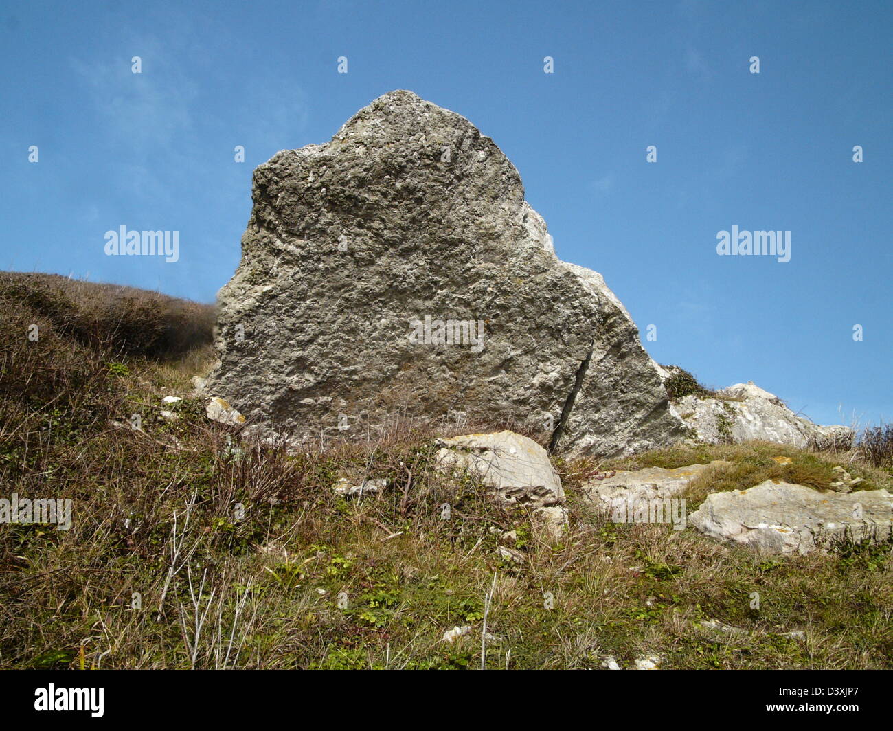 Portland stone rock protruding from ground Stock Photo - Alamy