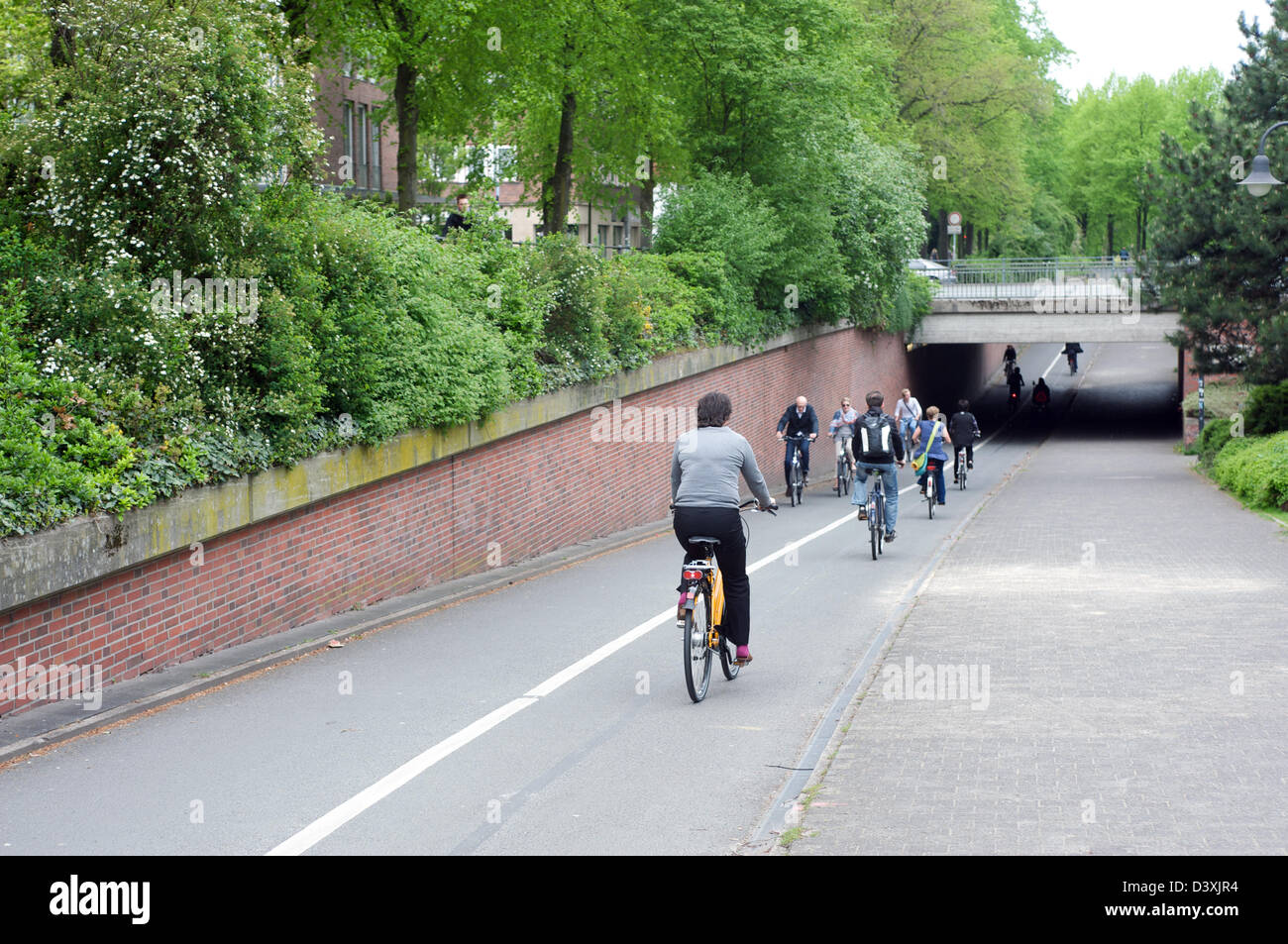 Purpose built cycle path in the city of Munster Germany Stock Photo - Alamy