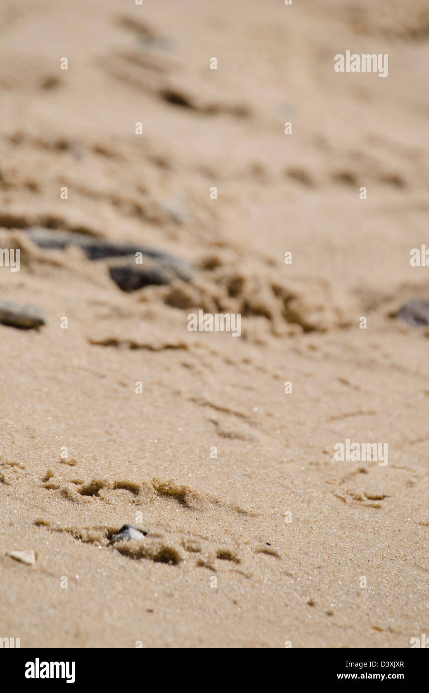 Sand on the Beach Stock Photo - Alamy