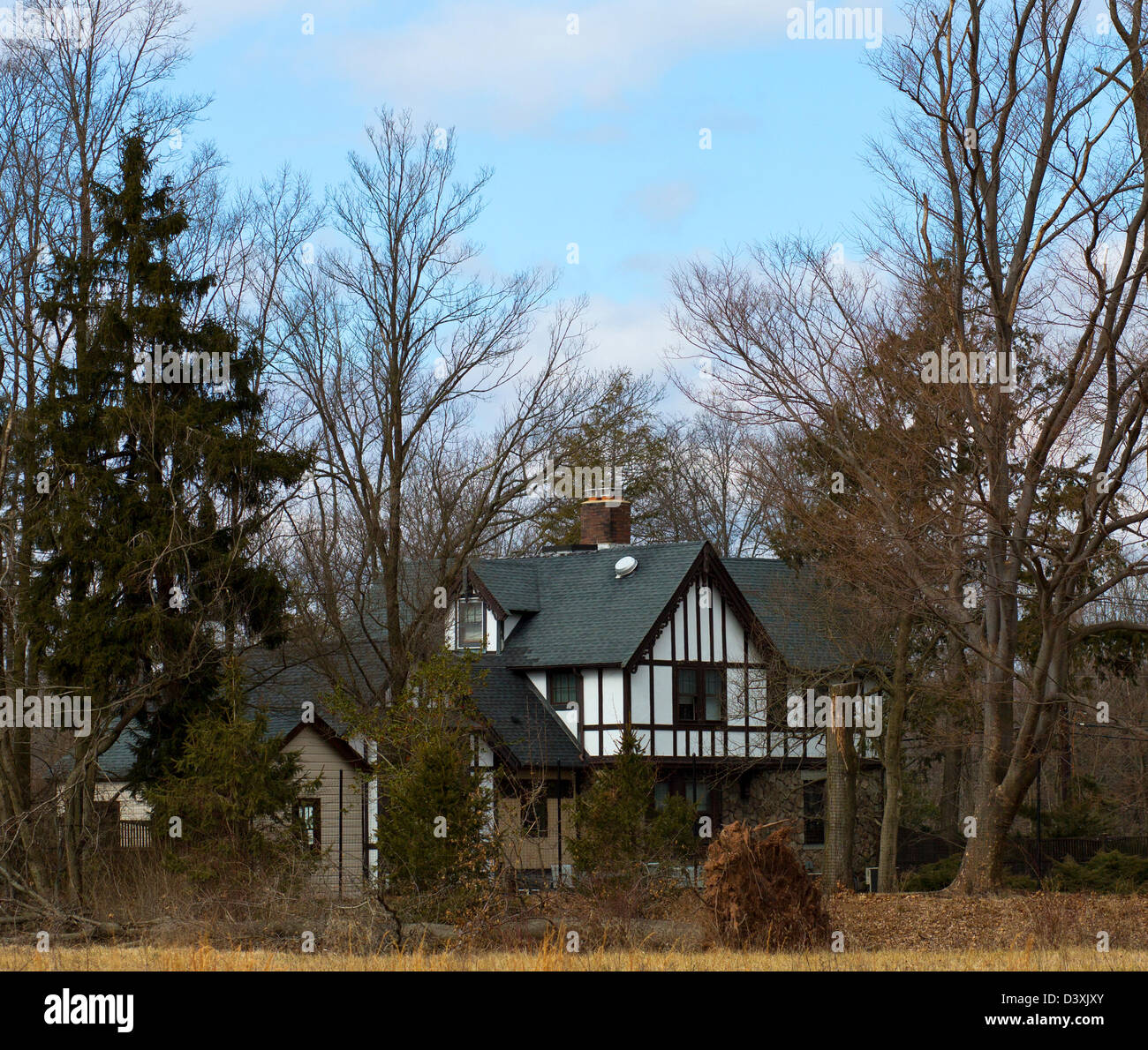 Tutor cottage with outbuilding in the woods forest Stock Photo - Alamy
