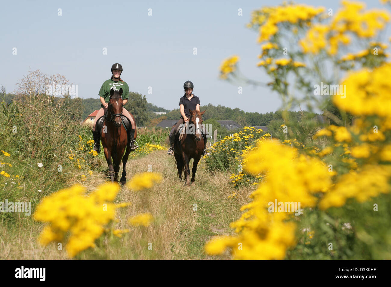 Road riders hi-res stock photography and images - Alamy