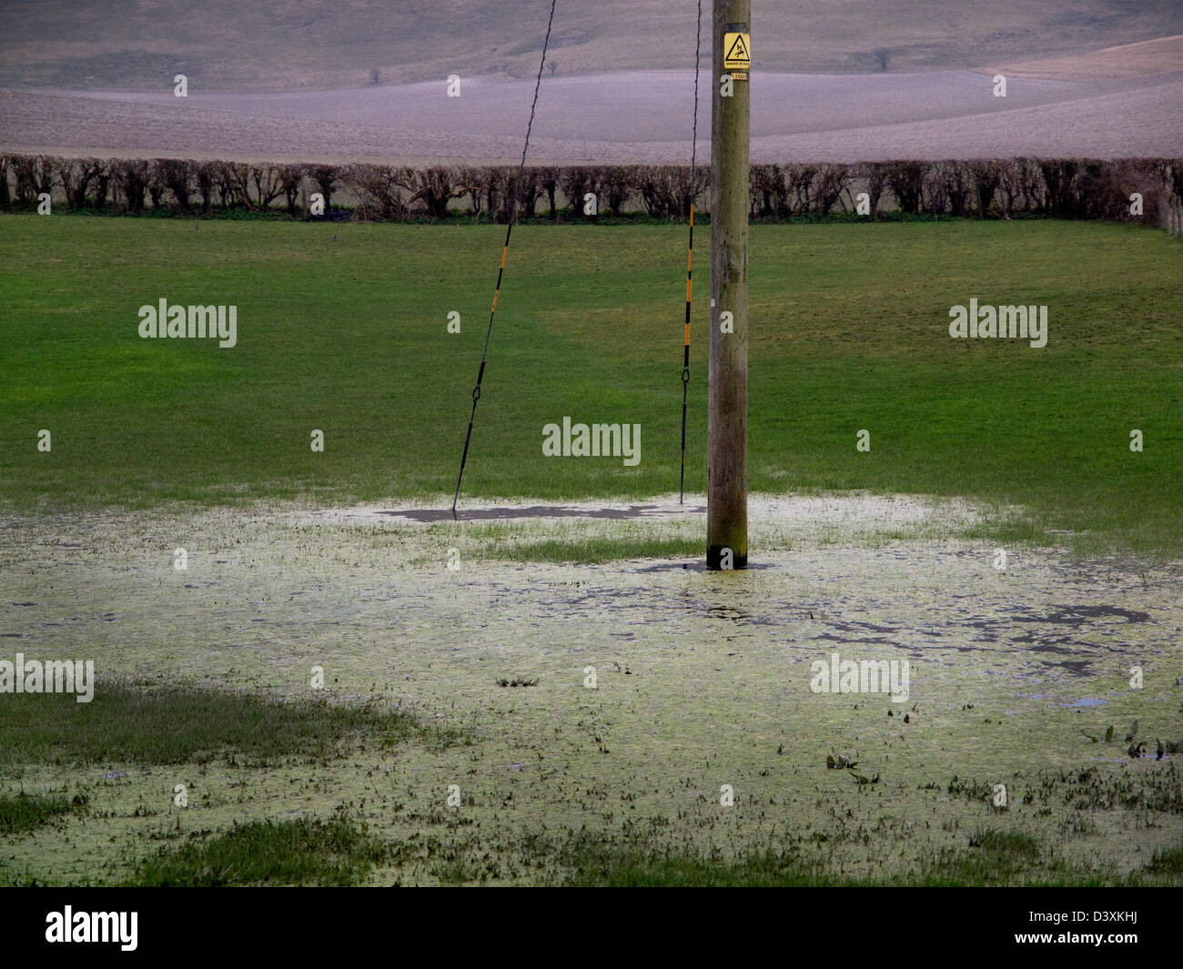 Wet field hi-res stock photography and images - Alamy