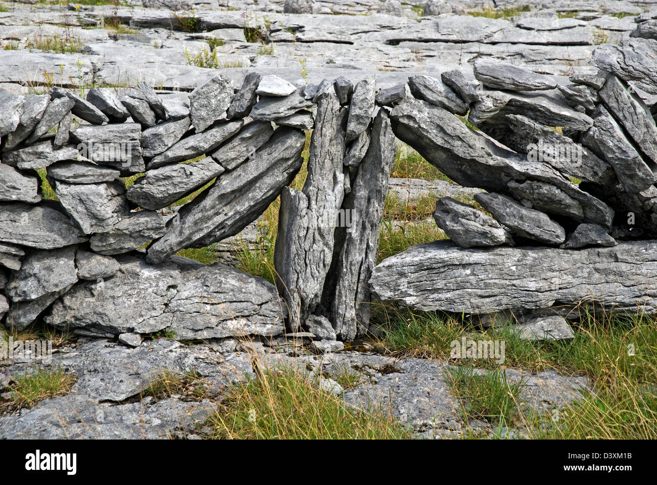The Burren, Limestone Pavements, Dry Stone Walls, Co Clare Ireland ...