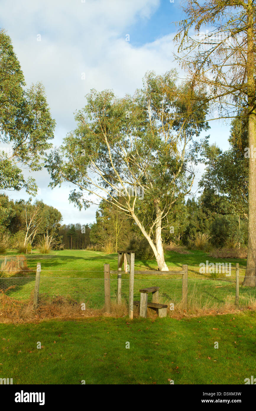 Marks Hall Estate, Braintree, Essex. A view inside the grounds on a ...