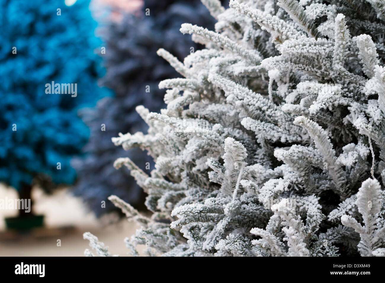 Flocked Christmas Tree with multi colors Stock Photo - Alamy