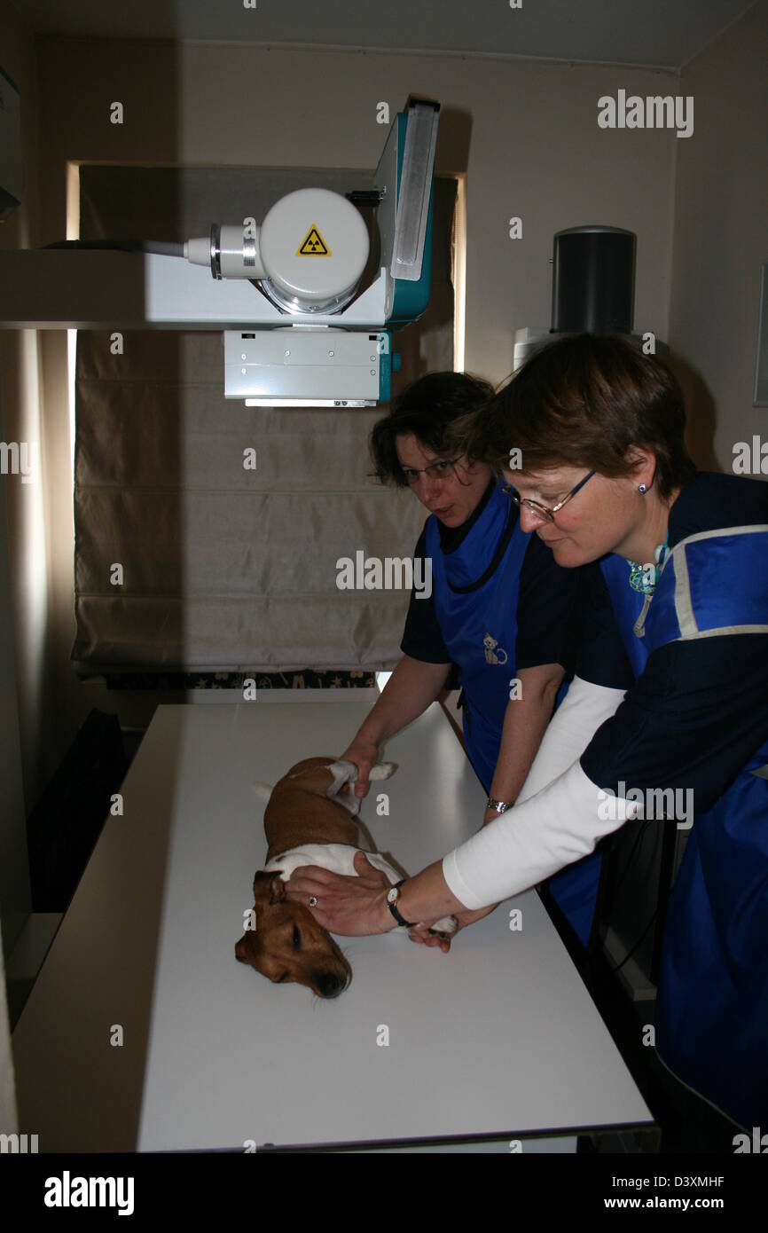 Radiographic positioning hi-res stock photography and images - Alamy