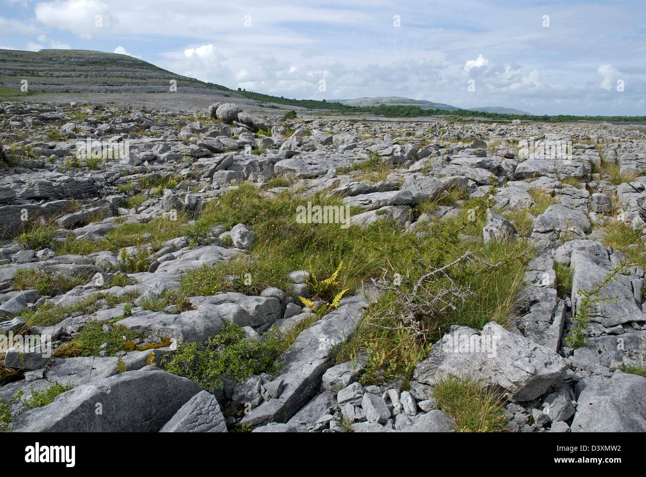 The Burren Limestone Hills, Co Clare, Ireland Stock Photo - Alamy