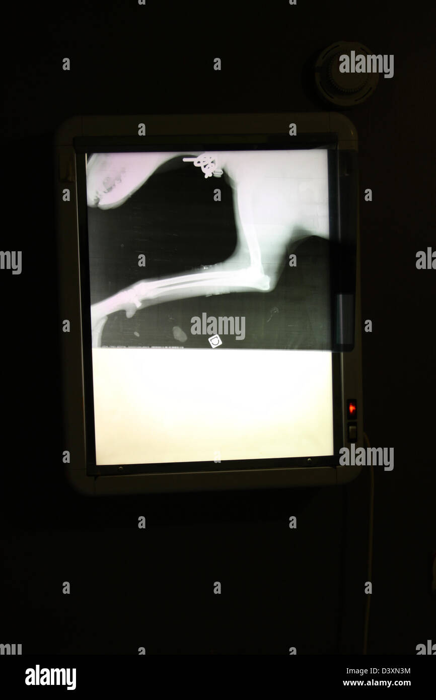Radiographic positioning hi-res stock photography and images - Alamy