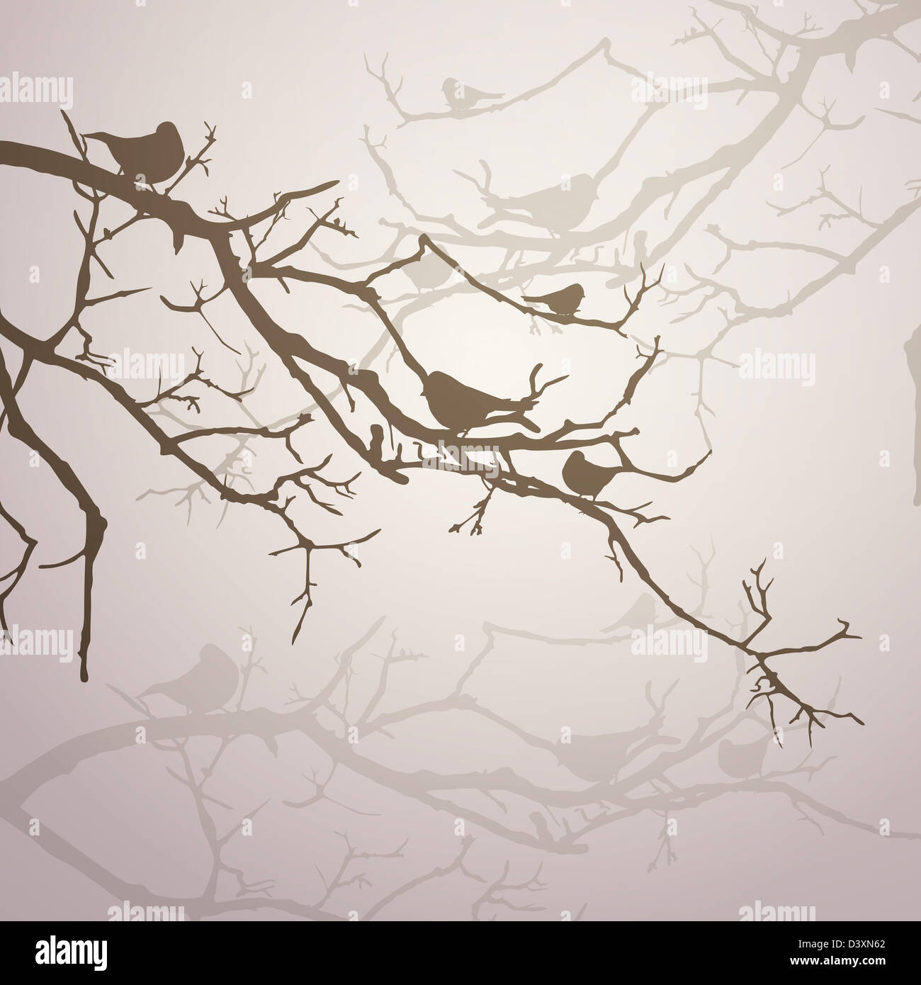 Birds on a branch Stock Photo - Alamy