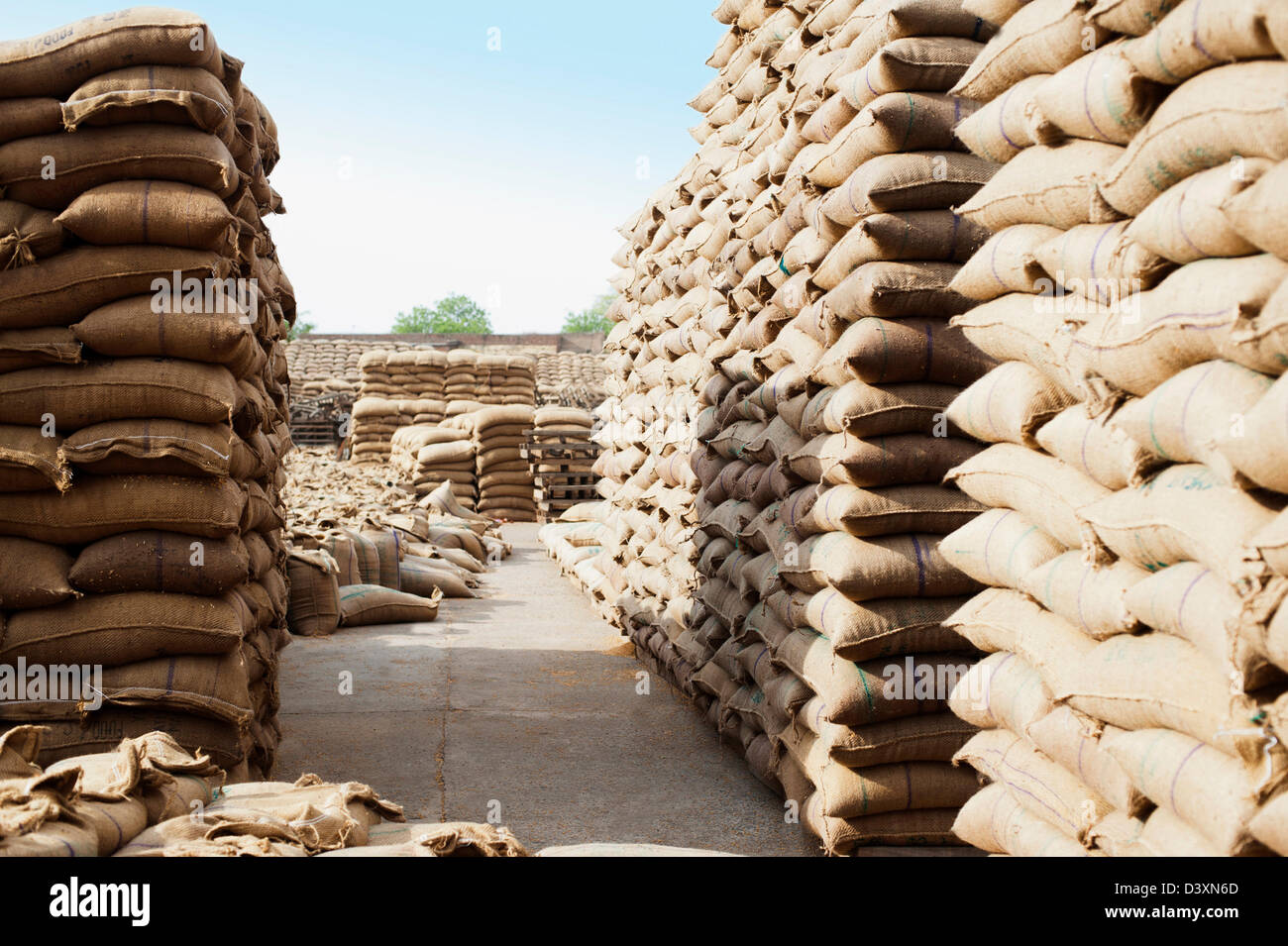 Anaj mandi hi-res stock photography and images - Alamy