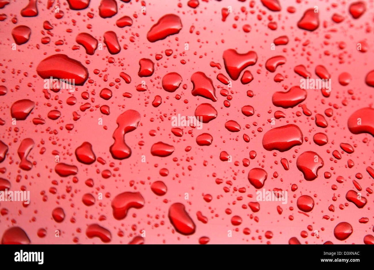 Water drops of rain on red background Stock Photo - Alamy