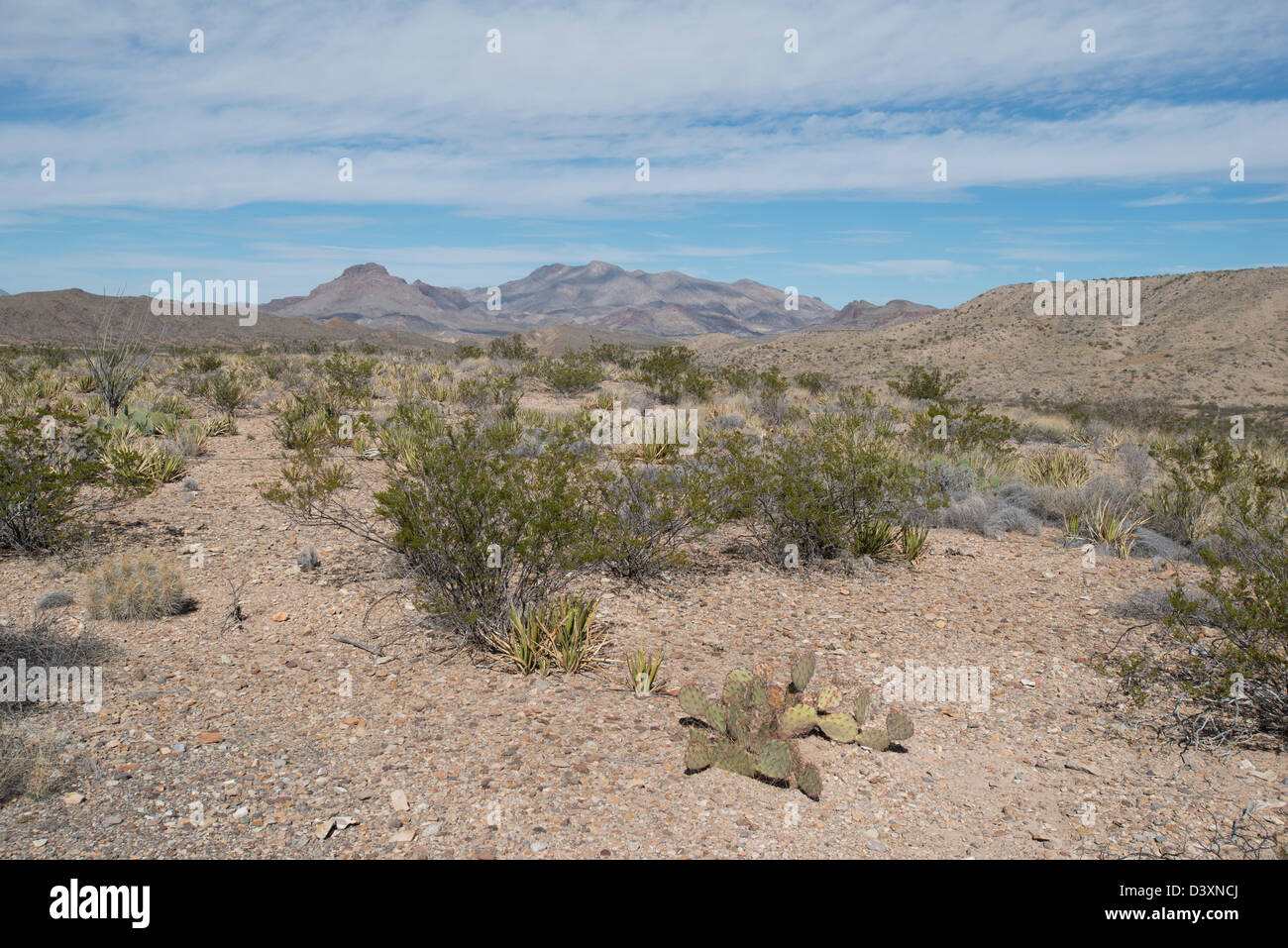 Desert, Big Bend, Big Bend National Park, Texas, USA, Mexico, Border ...