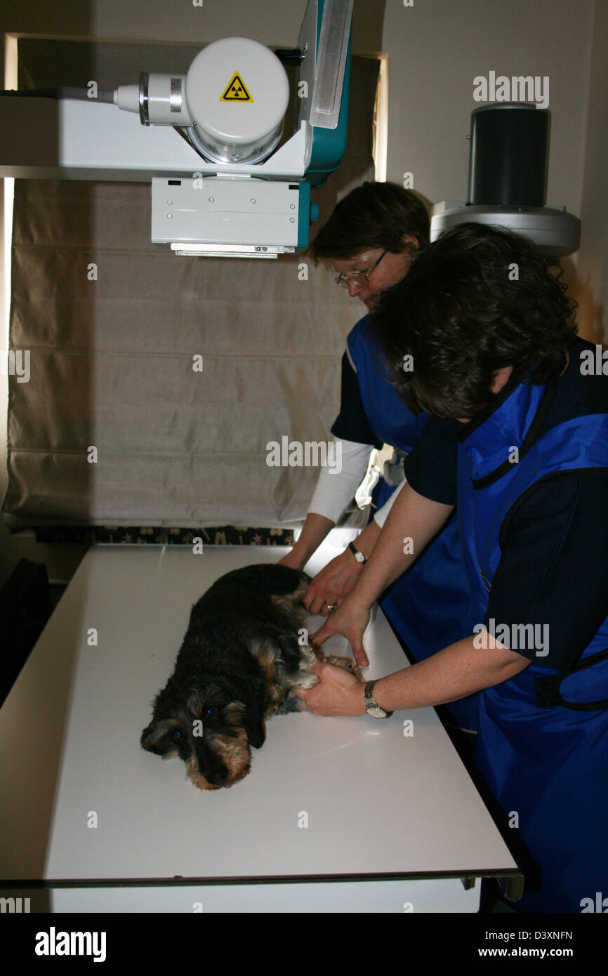 Radiographic positioning hi-res stock photography and images - Alamy