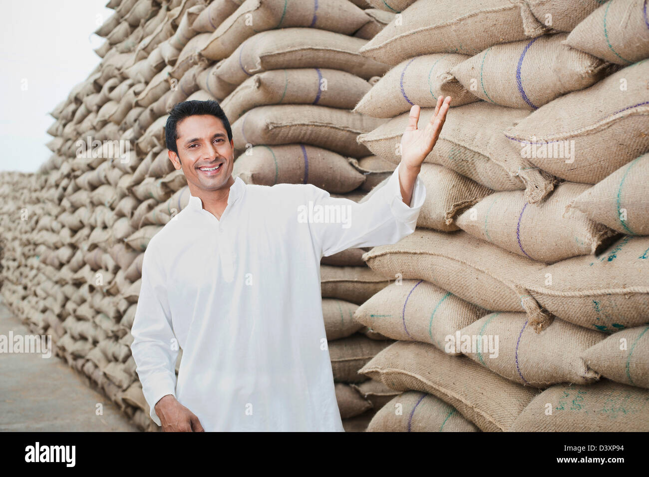 Man showing stacks of wheat sacks in a grains market, Anaj Mandi, Sohna ...