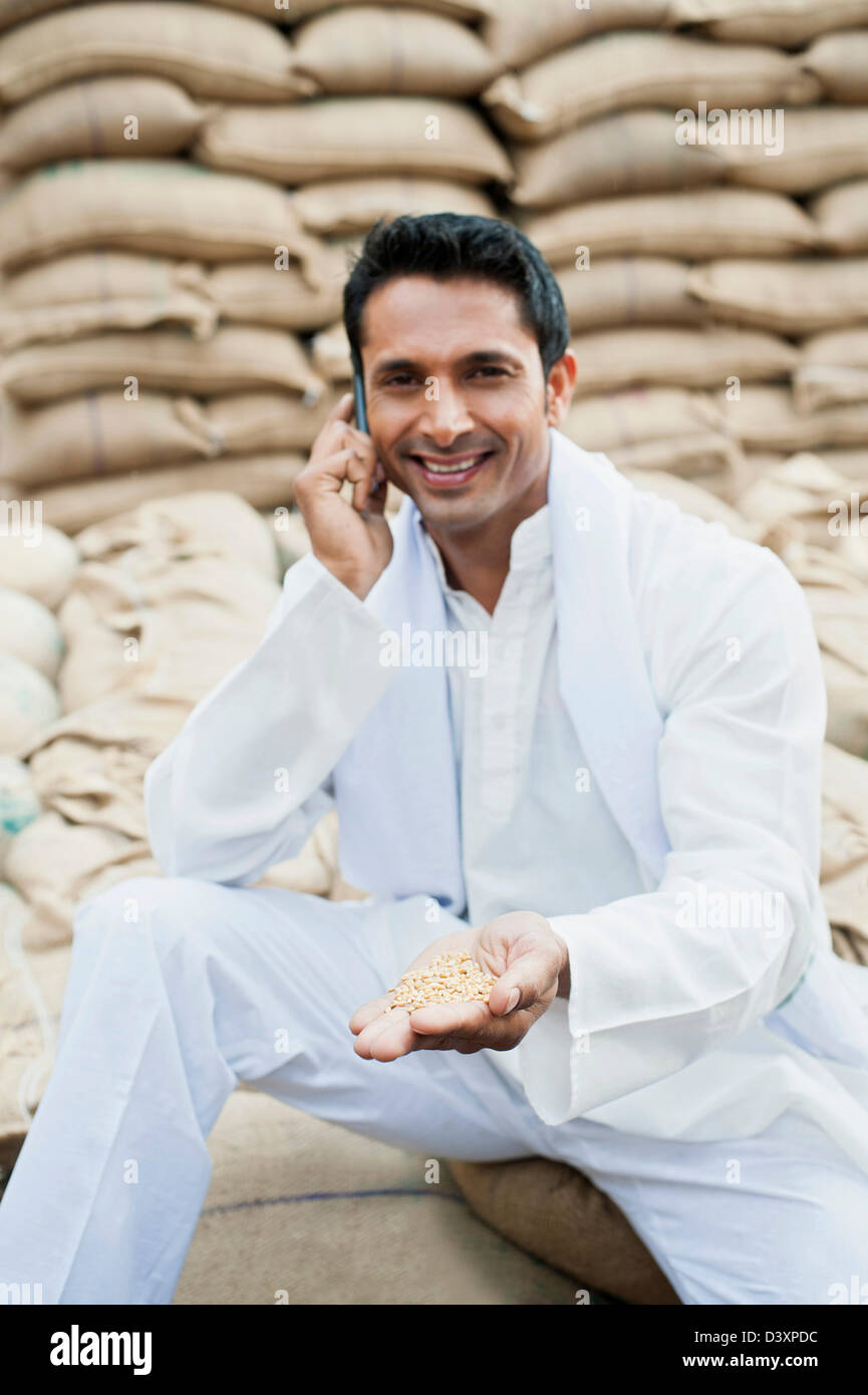 Man showing wheat grains, Anaj Mandi, Sohna, Gurgaon, Haryana, India ...