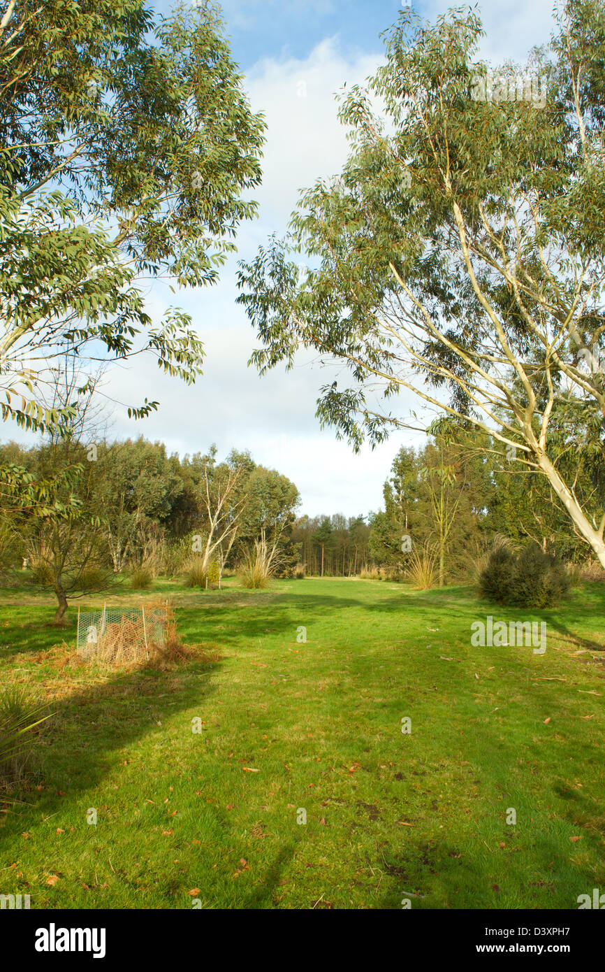 Marks Hall Estate, Braintree, Essex. A view inside the grounds on a ...