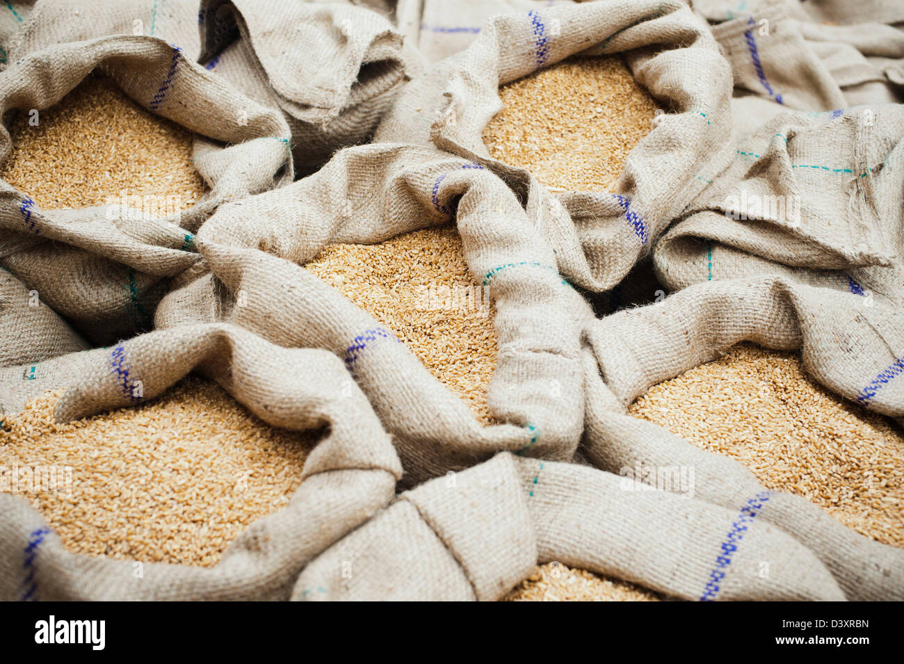 Anaj mandi hi-res stock photography and images - Alamy