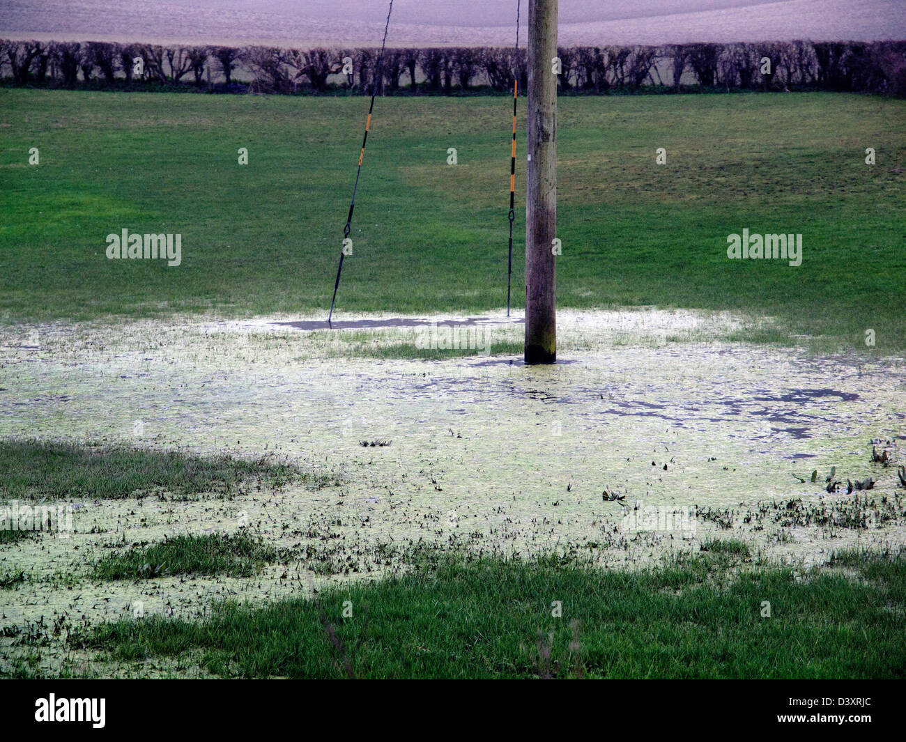 Wet field hi-res stock photography and images - Alamy