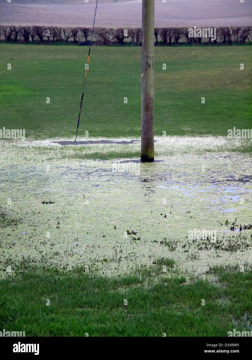 Electric pole in water hi-res stock photography and images - Alamy