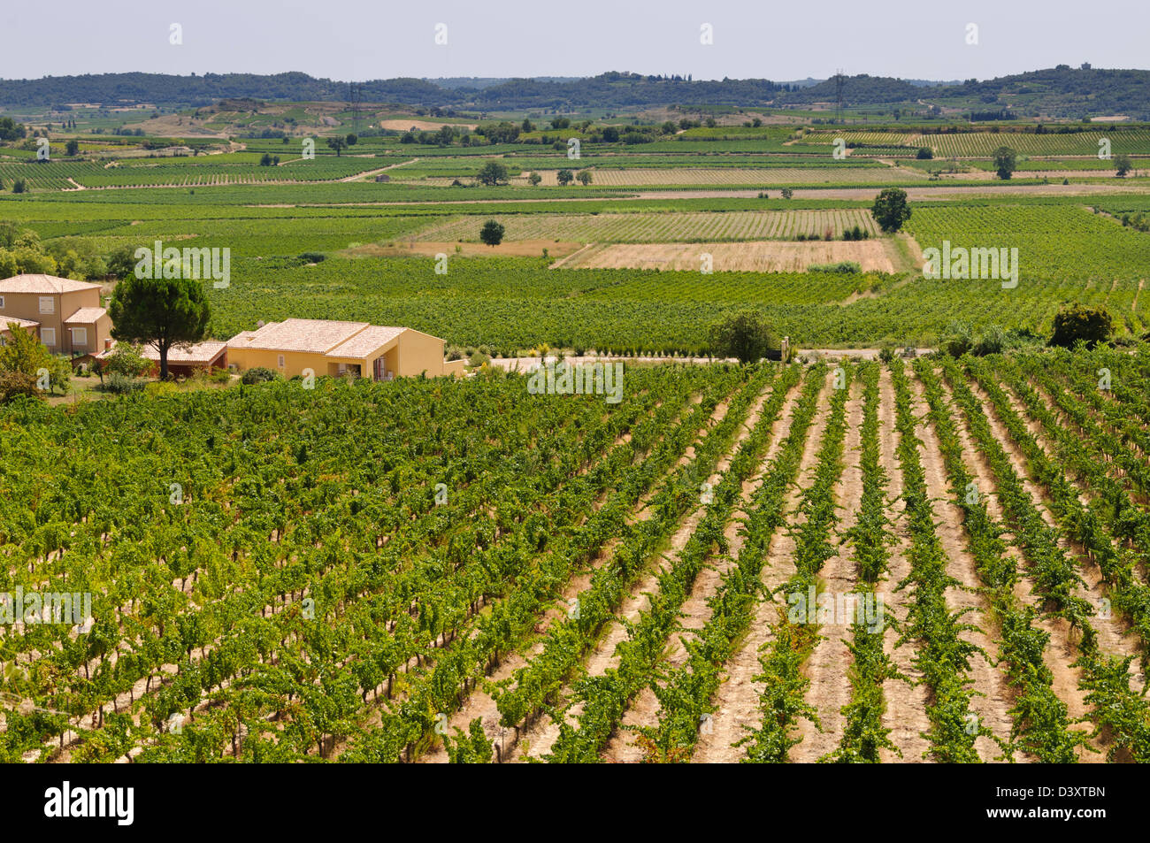 View over vineyard from village of Tressan, Hérault, Languedoc ...