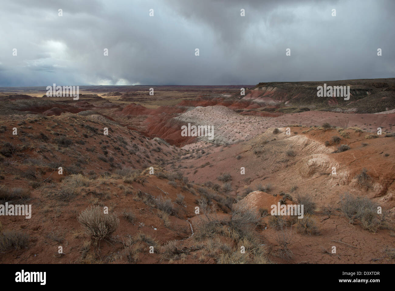Petrified Wood, Petrified Forest, Petrified Forest National Park ...