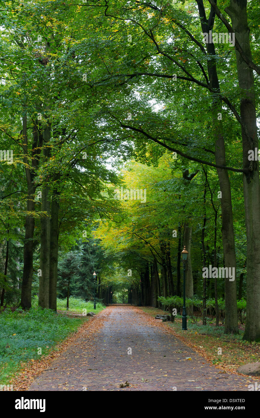 Forest on estate Stock Photo - Alamy