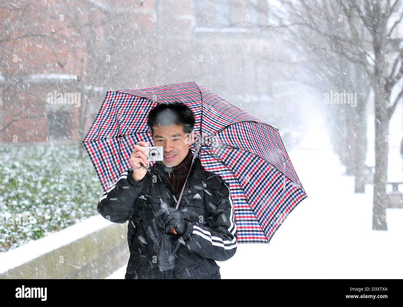 Pictures High Resolution Stock Photography and Images - Alamy
