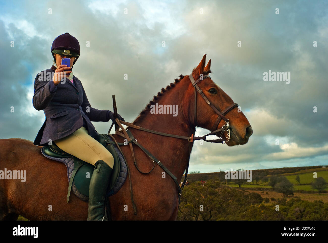 Fox Hunt Stock Photos & Fox Hunt Stock Images - Alamy