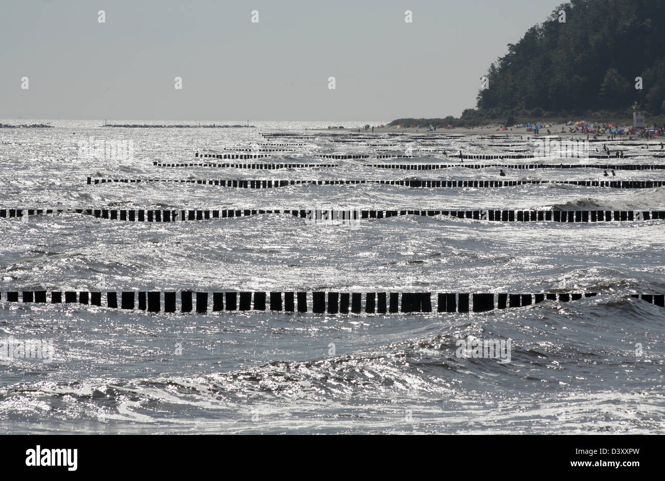 Koserow, Germany, beach with wooden groynes Stock Photo - Alamy