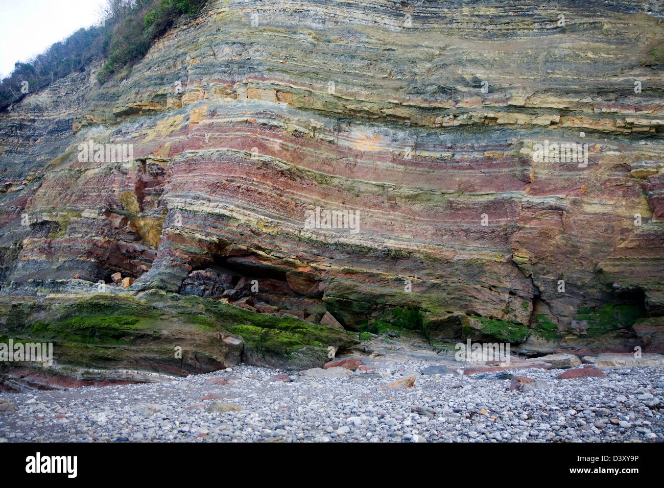 Lower lias sedimentary rocks in cliff face, Watchet, Somerset, England ...