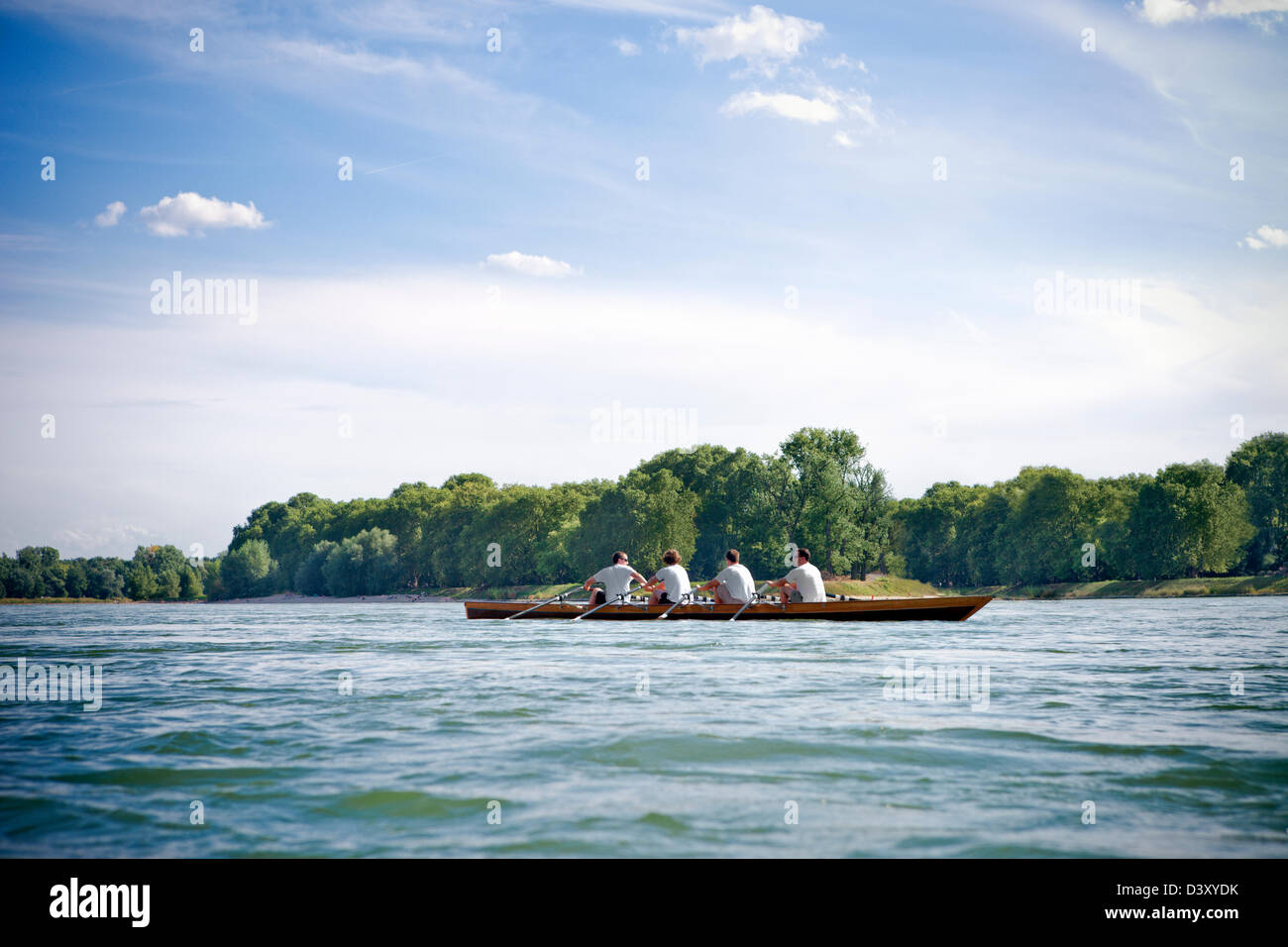 Teamwork and Coordination Concept of Friends in Men Rowing Team, with ...
