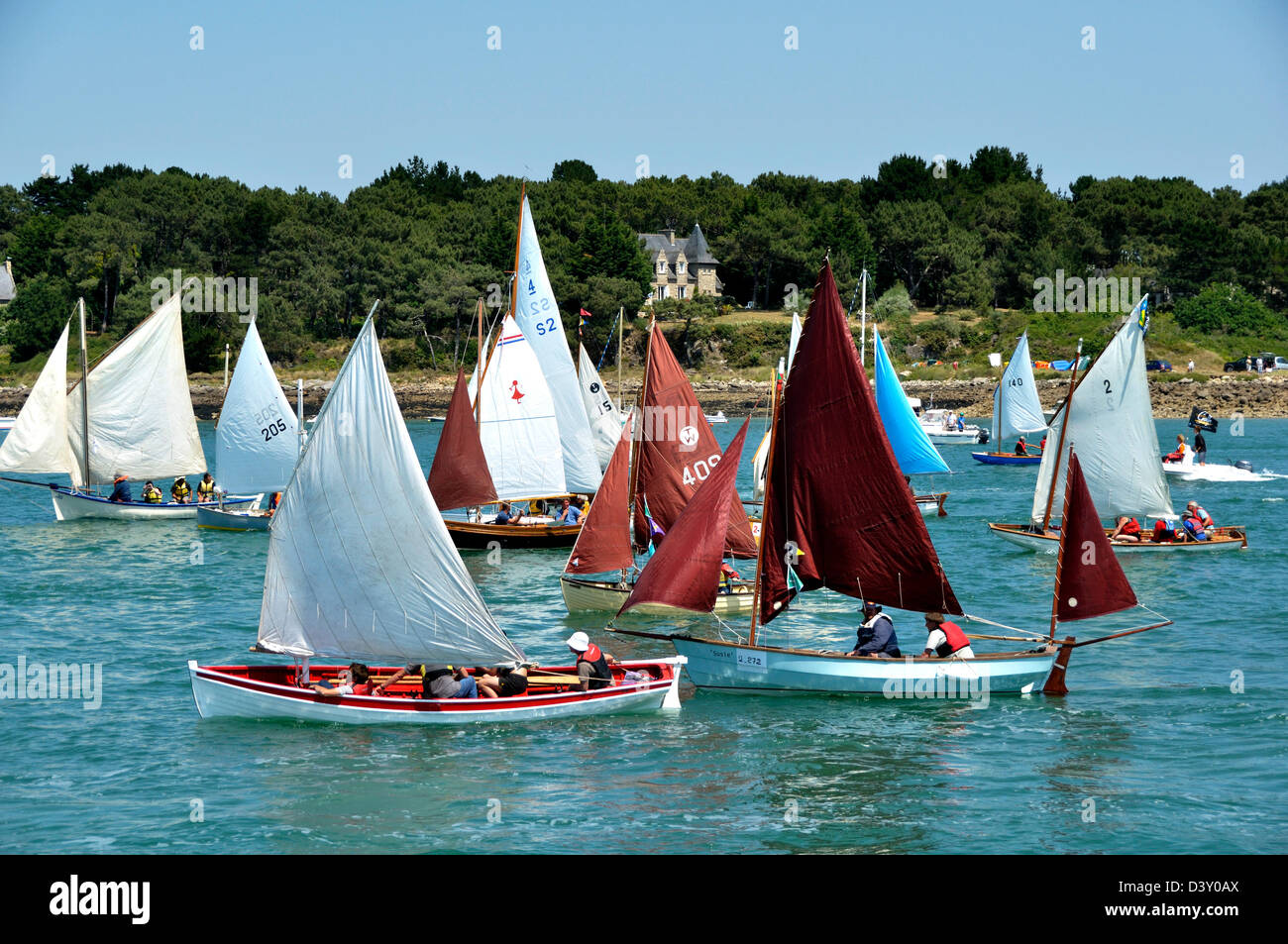 Flotilla of sail and oar boats, during the event "Semaine du Golfe ...
