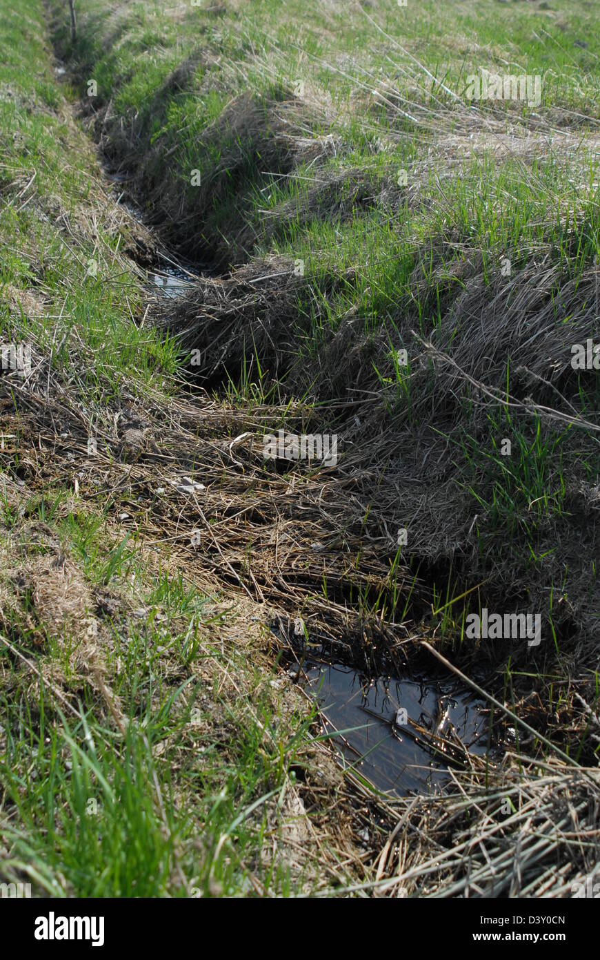 Ditch in wetland channeling water to support biodiversity Stock Photo ...