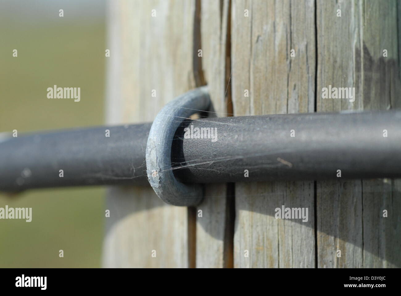Woodstaple and electric fence wire Stock Photo - Alamy