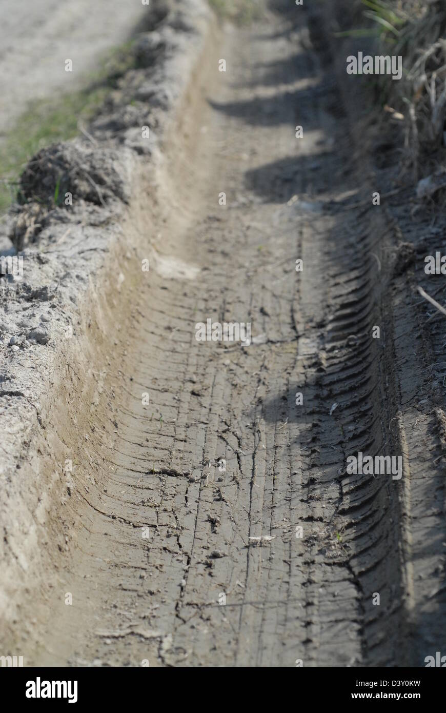 Tire tracks in mud Stock Photo - Alamy