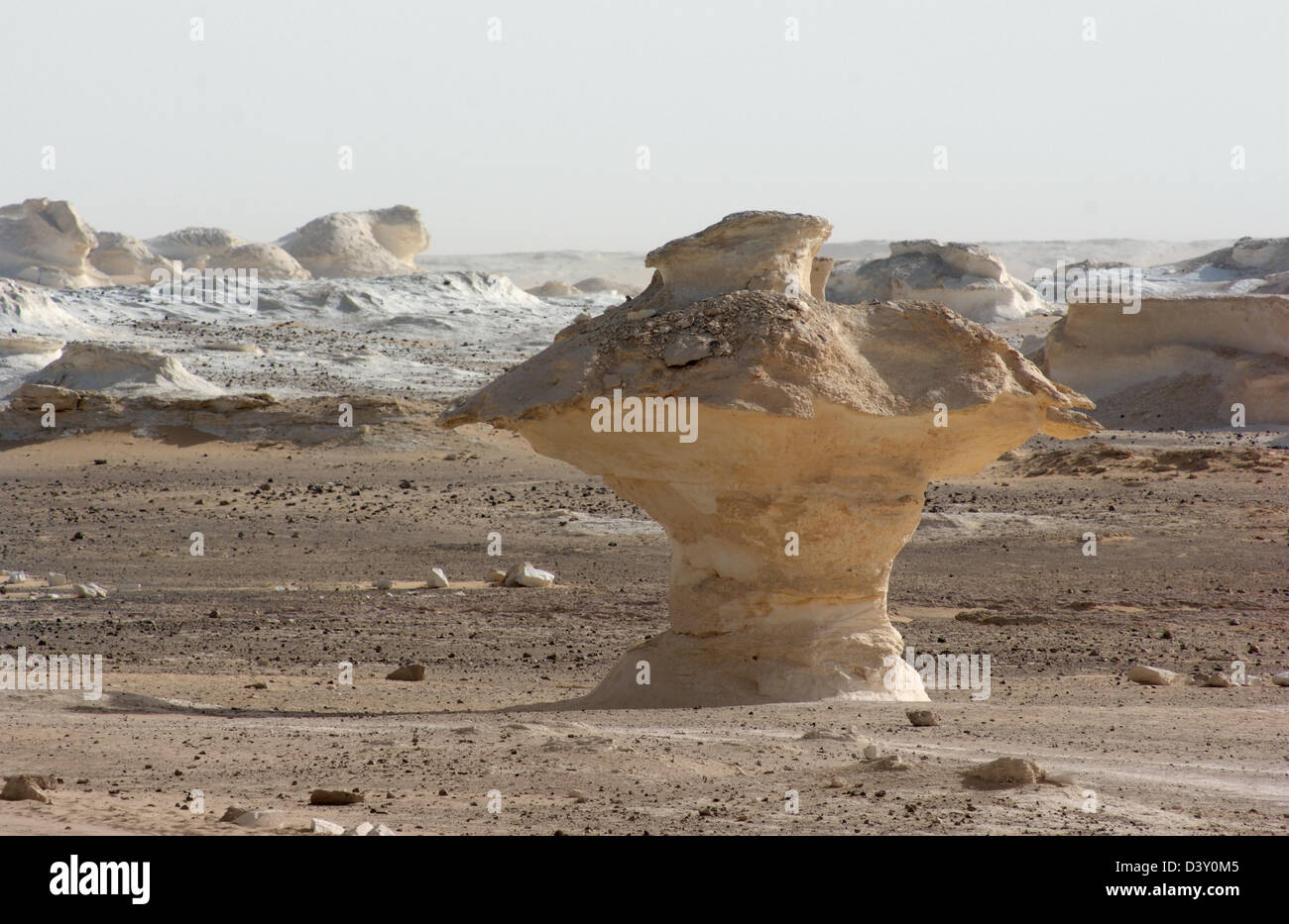 the white desert with rock formation in Egypt Stock Photo - Alamy