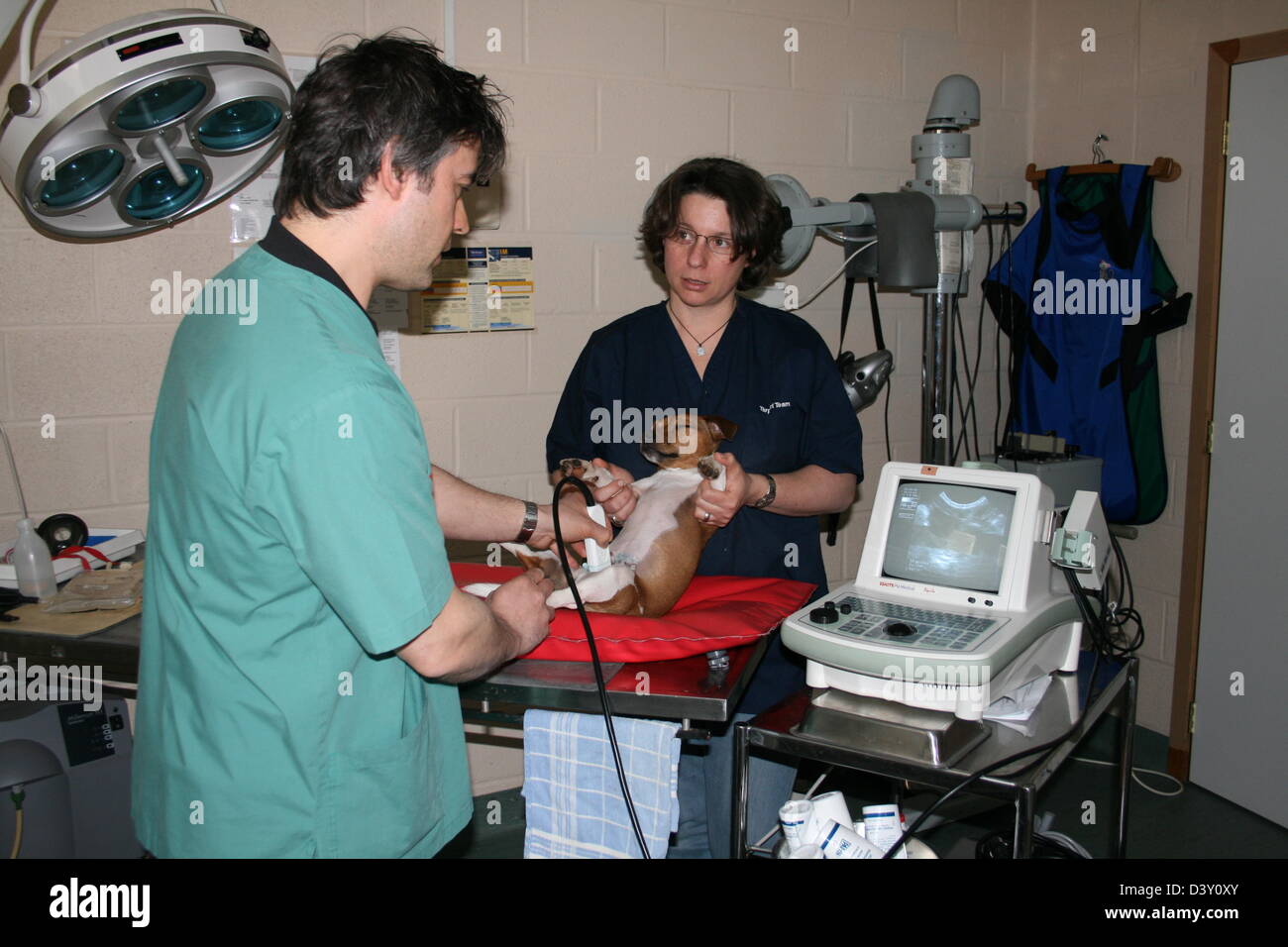 Monitor jacks hi-res stock photography and images - Alamy