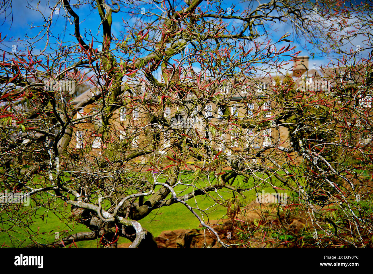 Upton house and gardens warwickshire hi-res stock photography and ...