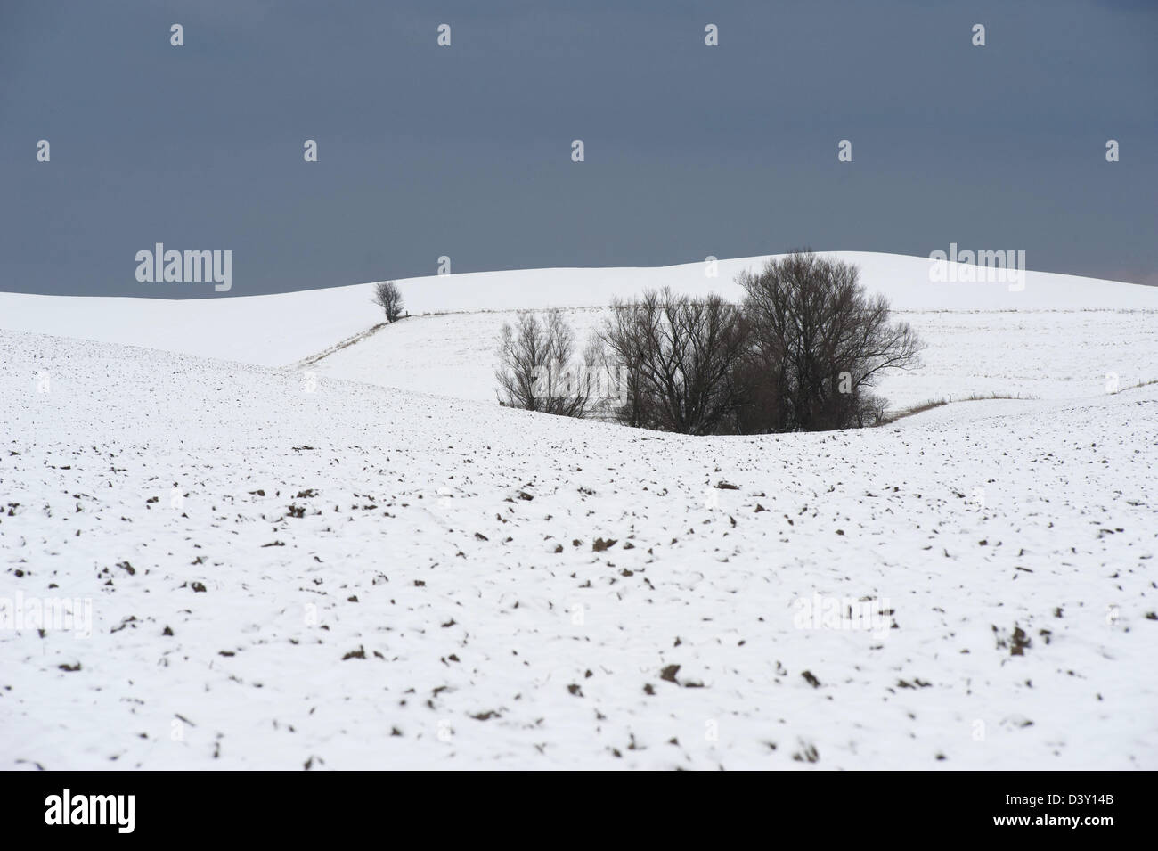 Agricultural hilly landscape with some trees in the depression Stock ...