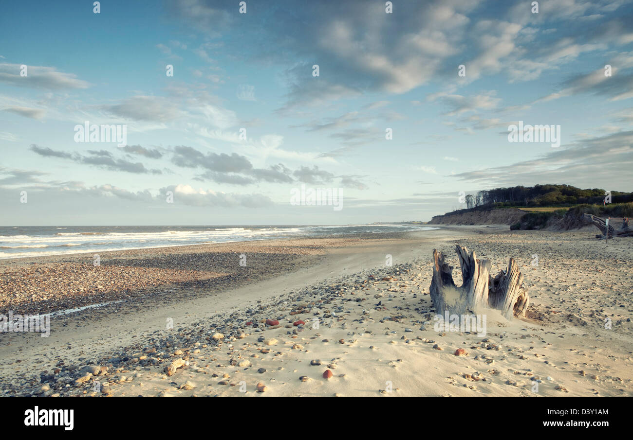 Beach at Covehithe, Suffolk, UK Stock Photo - Alamy