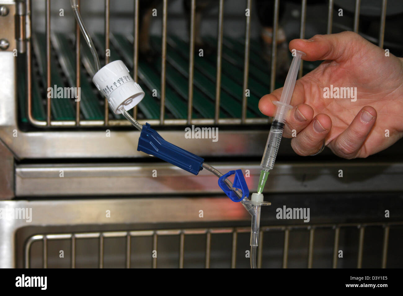 dog in a cage with a perfusion at the vet Stock Photo - Alamy
