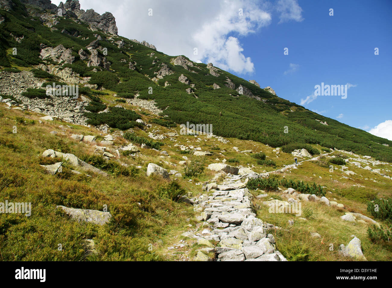 trail in mountains,Poland,Tatras Stock Photo - Alamy