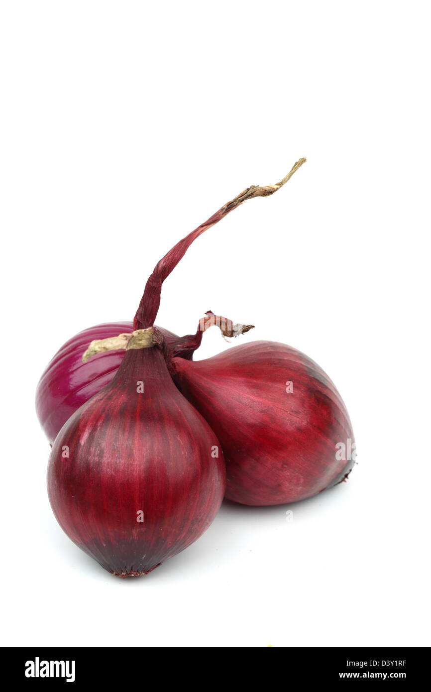 Onion isolated on white background Stock Photo - Alamy