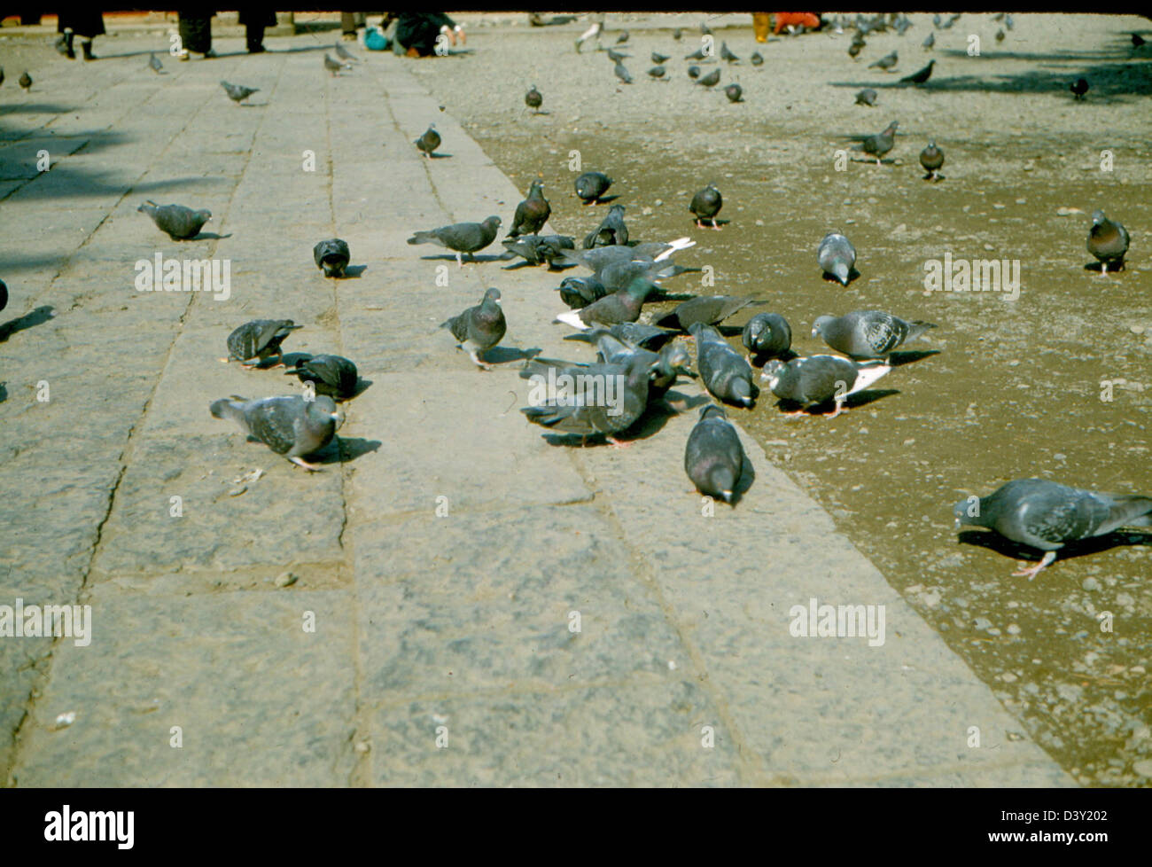 This image features the USS Kearsarge (CV-33), a U.S. Navy aircraft ...