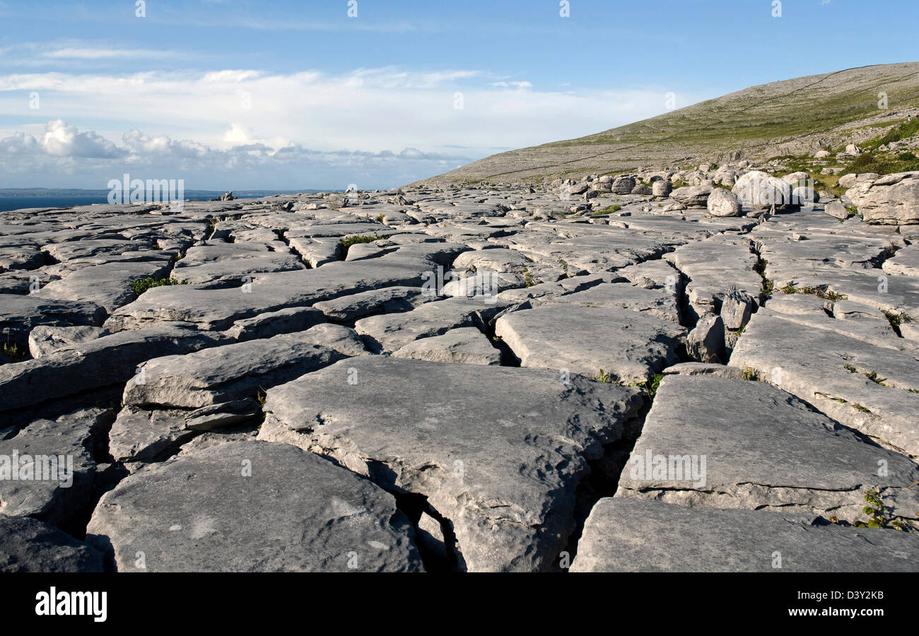Limestone Pavements, The Burren, Co Clare, West Coast of Ireland Stock ...