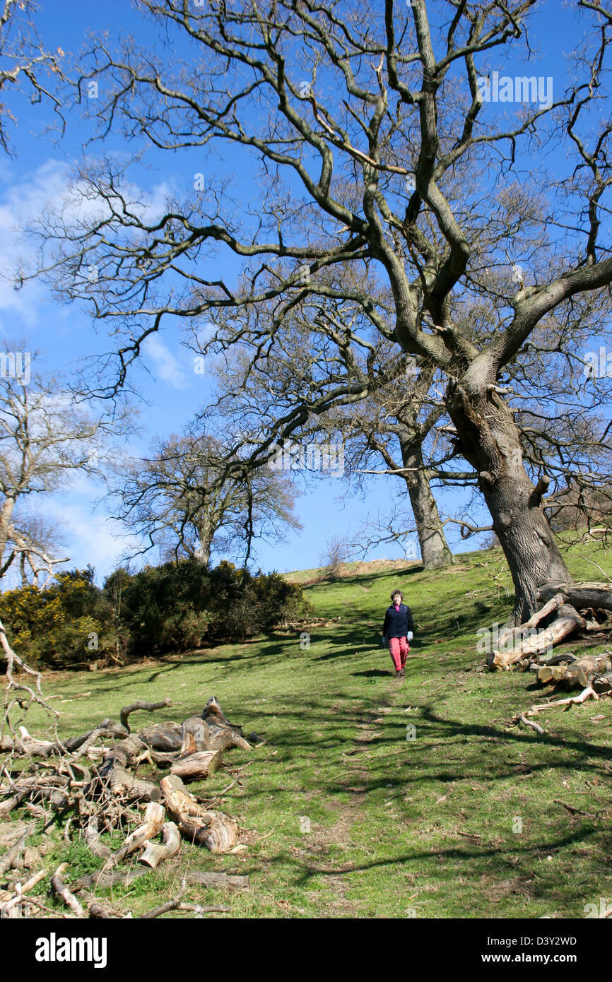 Walker montgomery hi-res stock photography and images - Alamy