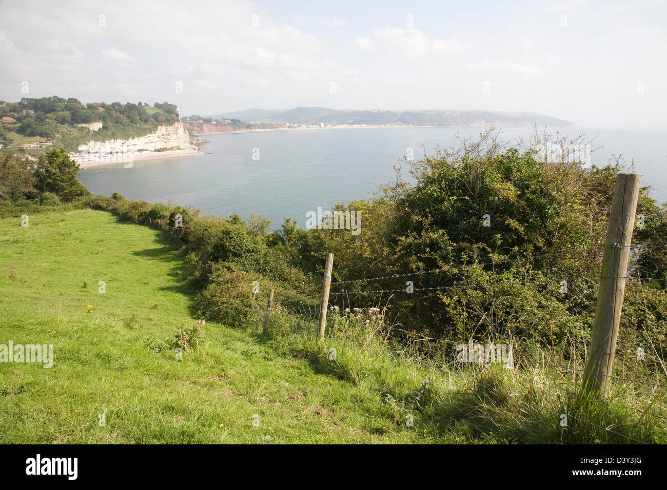 A cliff top meadow at Beer in Devon, England Stock Photo - Alamy