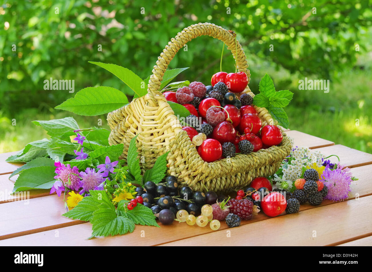 Raspberry black currant berries hi-res stock photography and images - Alamy